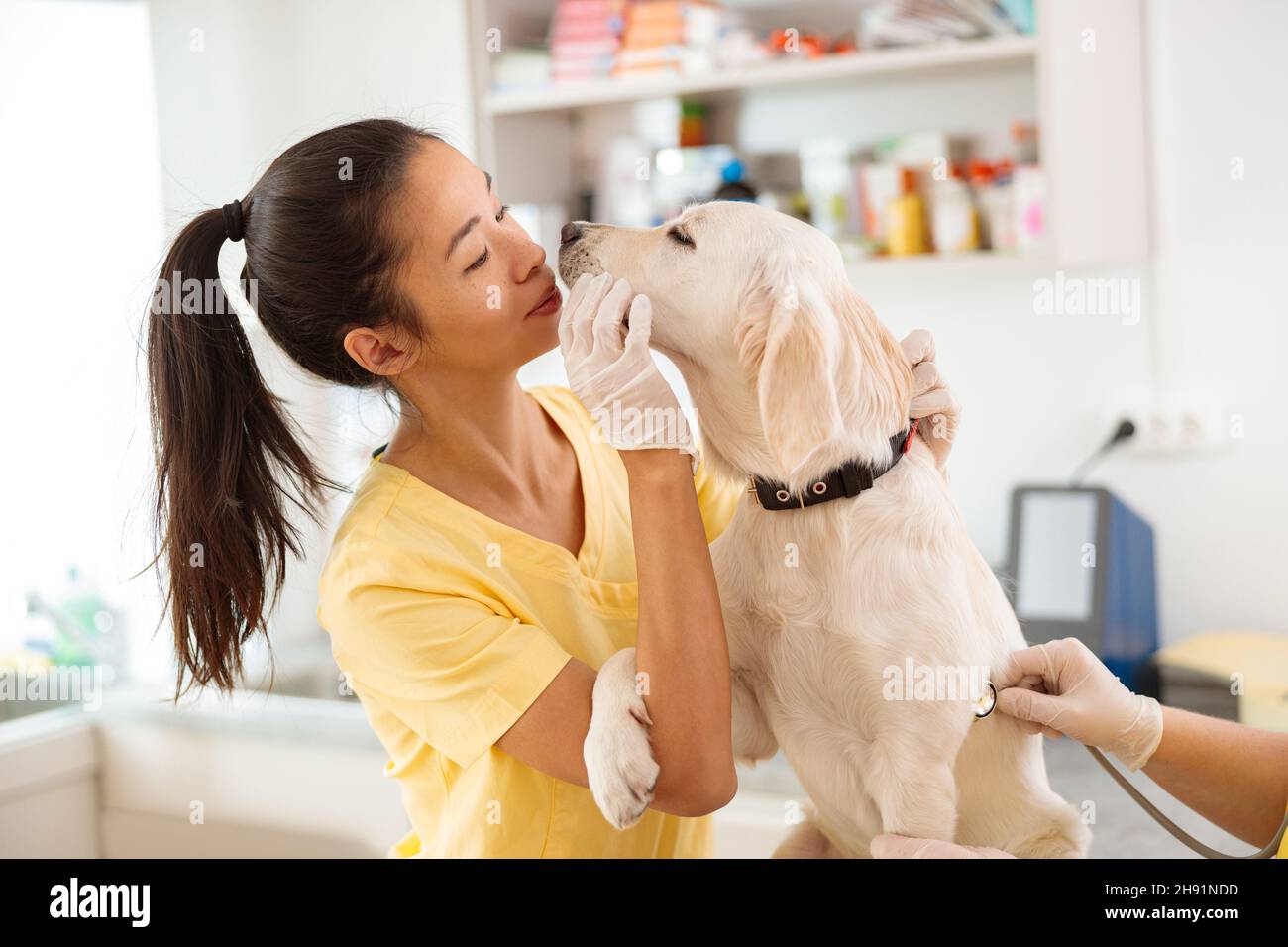 Dog being in veterinary clinic hi-res stock photography and images - Alamy