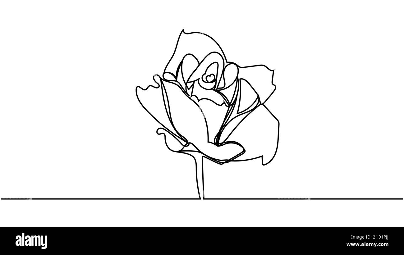 rose flower. Continuous one line drawing of rose flower minimalist design minimalism concept ...