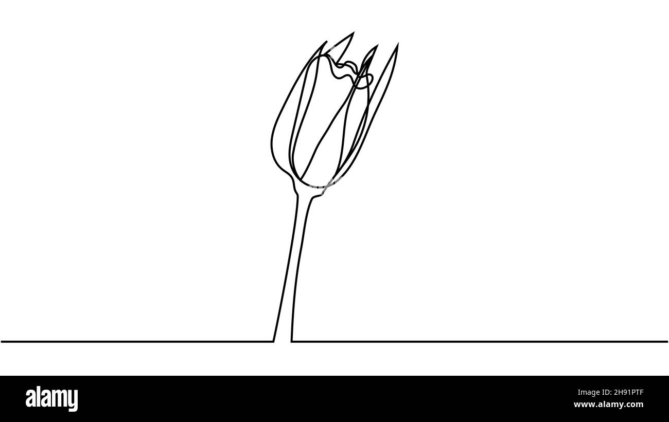 rose flower. Continuous one line drawing of rose flower minimalist ...