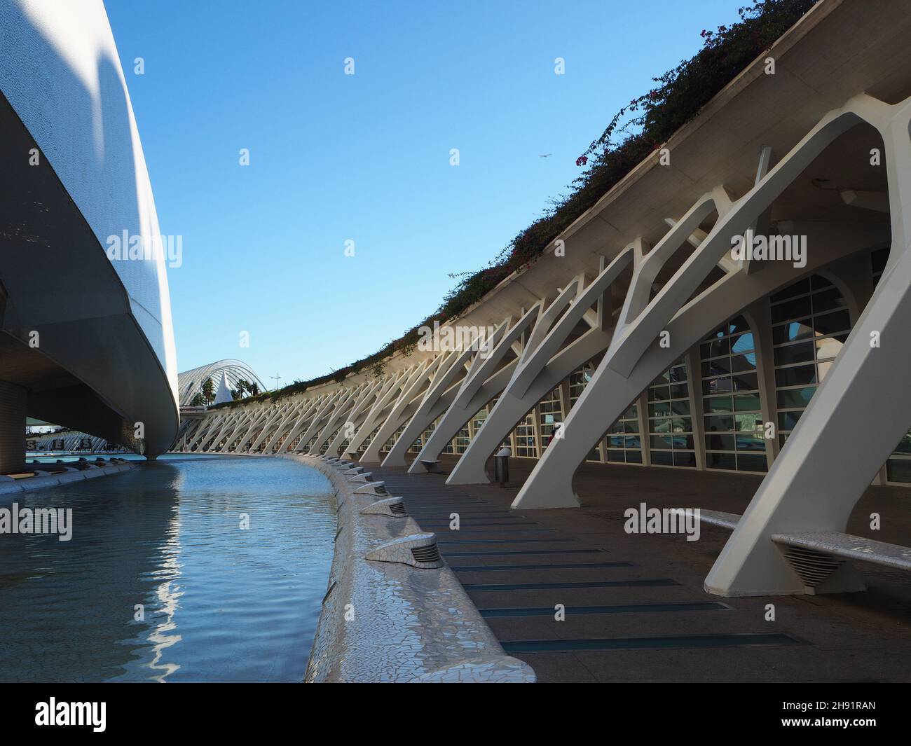 Wissenschaftsmuseum von valencia hi-res stock photography and images ...