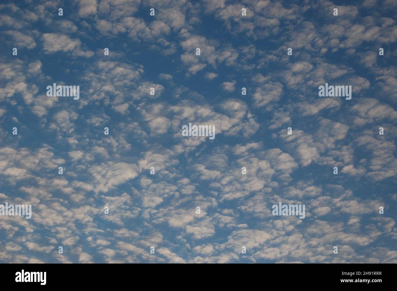 Fluffy white clouds, against a bright blue background, with evidence of ...