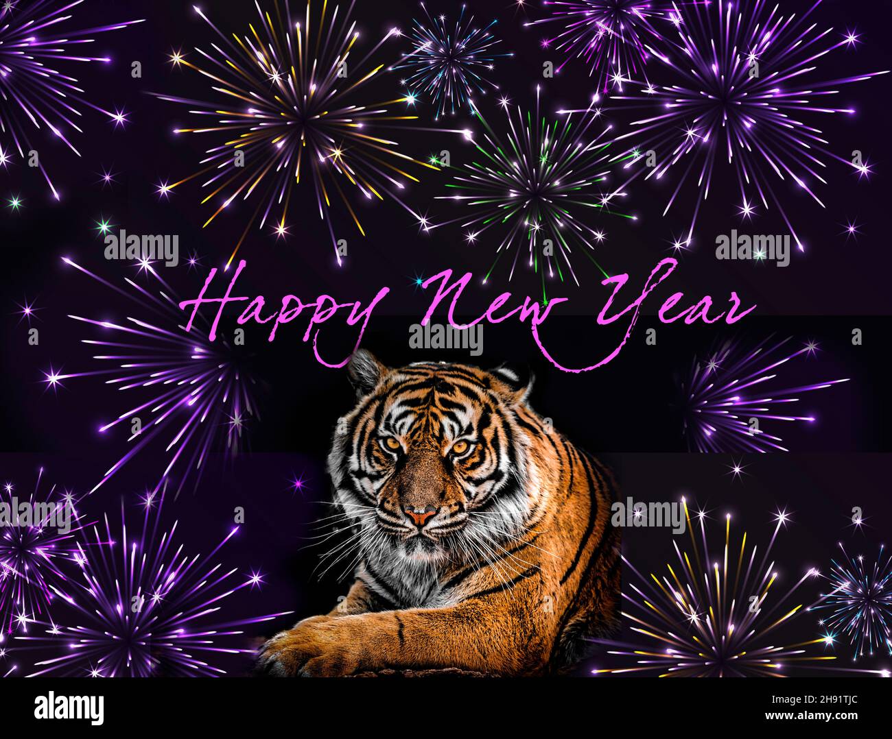 New Year’s card abstract background with a tiger, firework on a ...