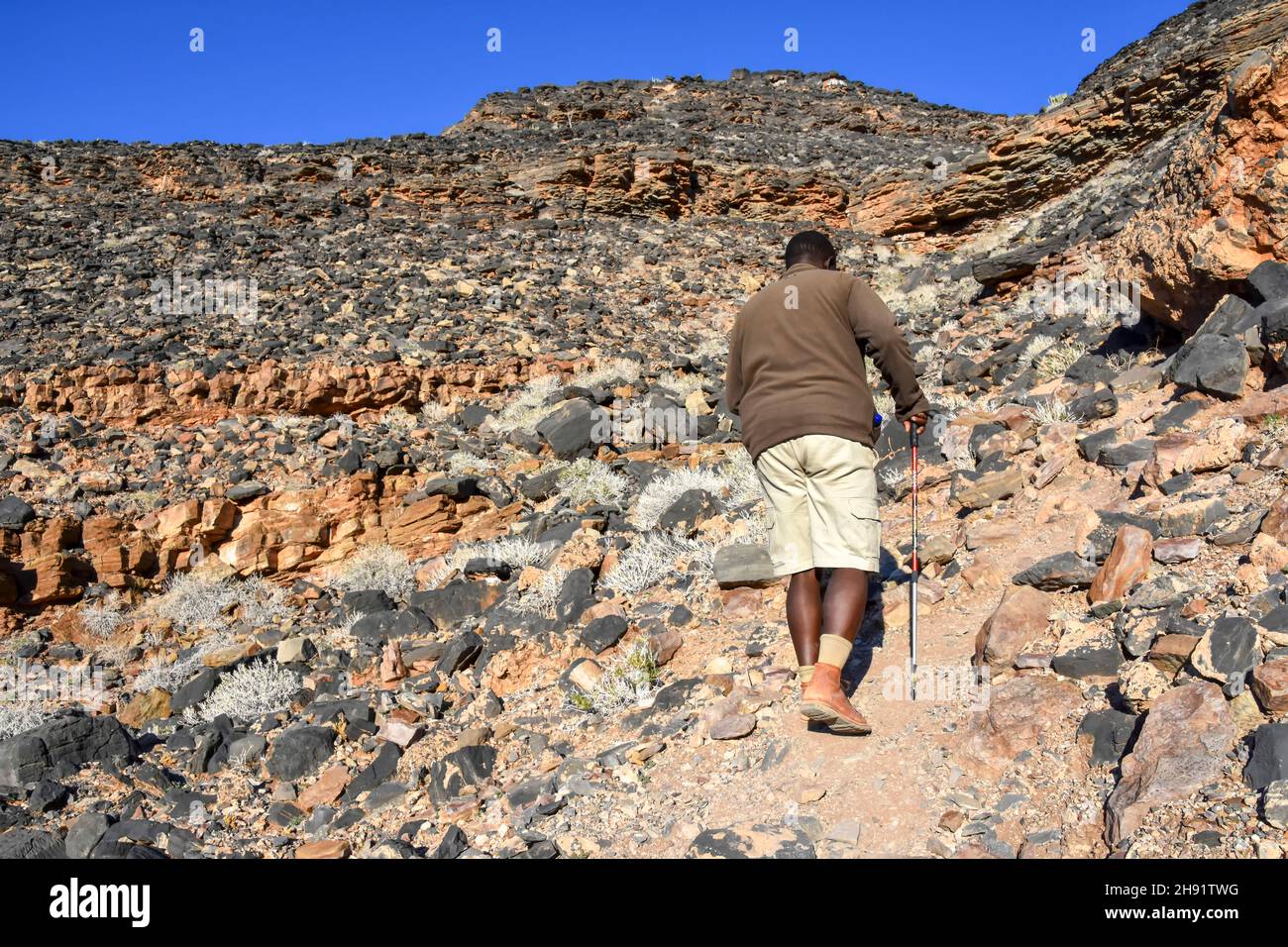 A park ranger walking in the majestic mountains near a valley in the ...