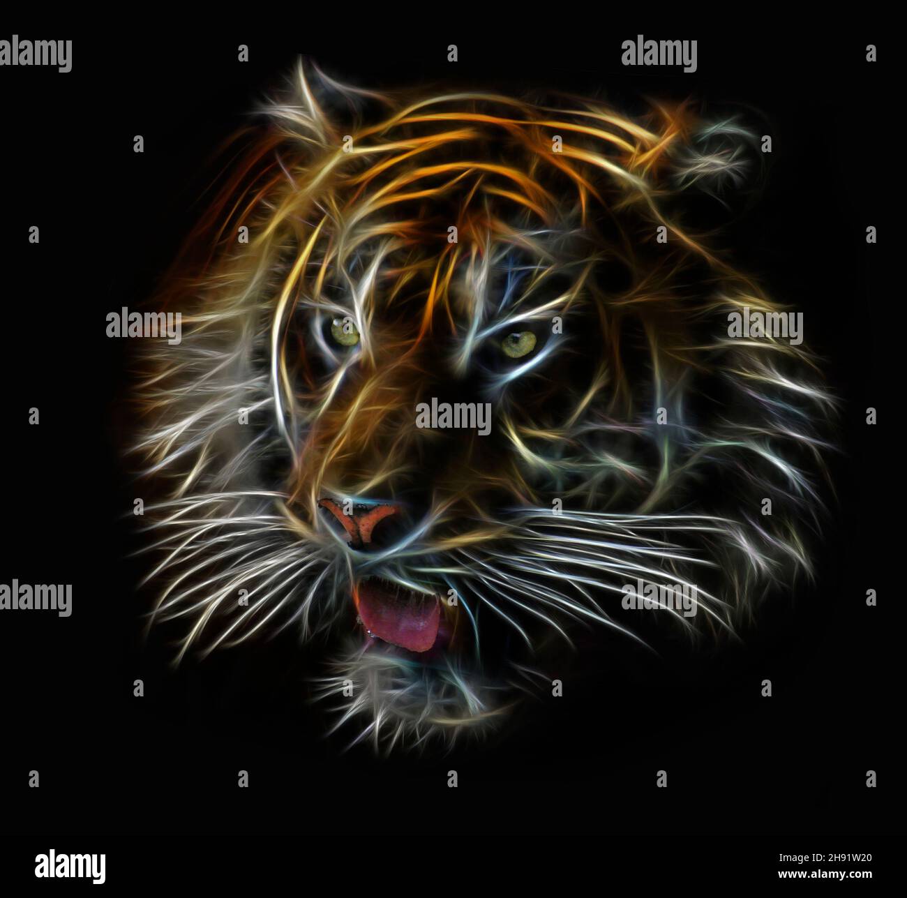 Amazing tiger on a black night background. Tiger at night Stock Photo ...