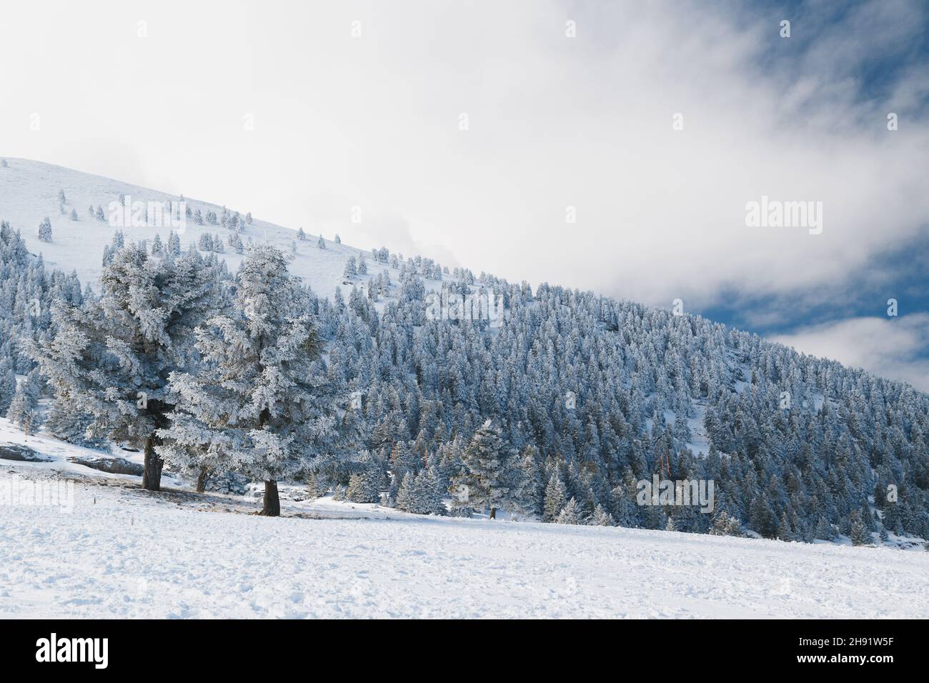 Beautiful blue sky on mountain slope hi-res stock photography and ...