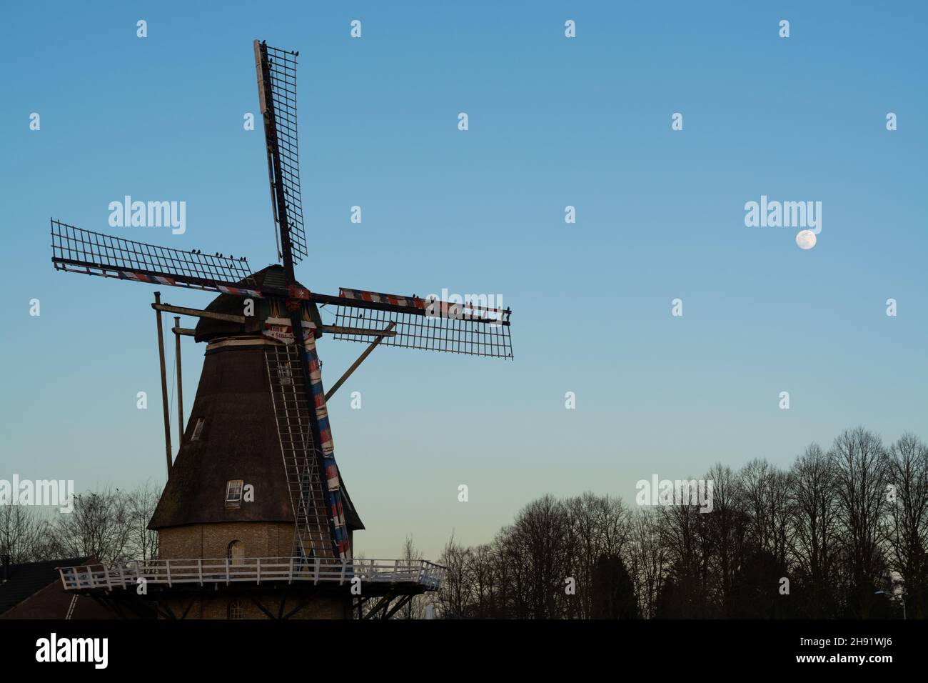 Traditional Dutch grain wind mill in Oerle, North Brabant on sunset ...