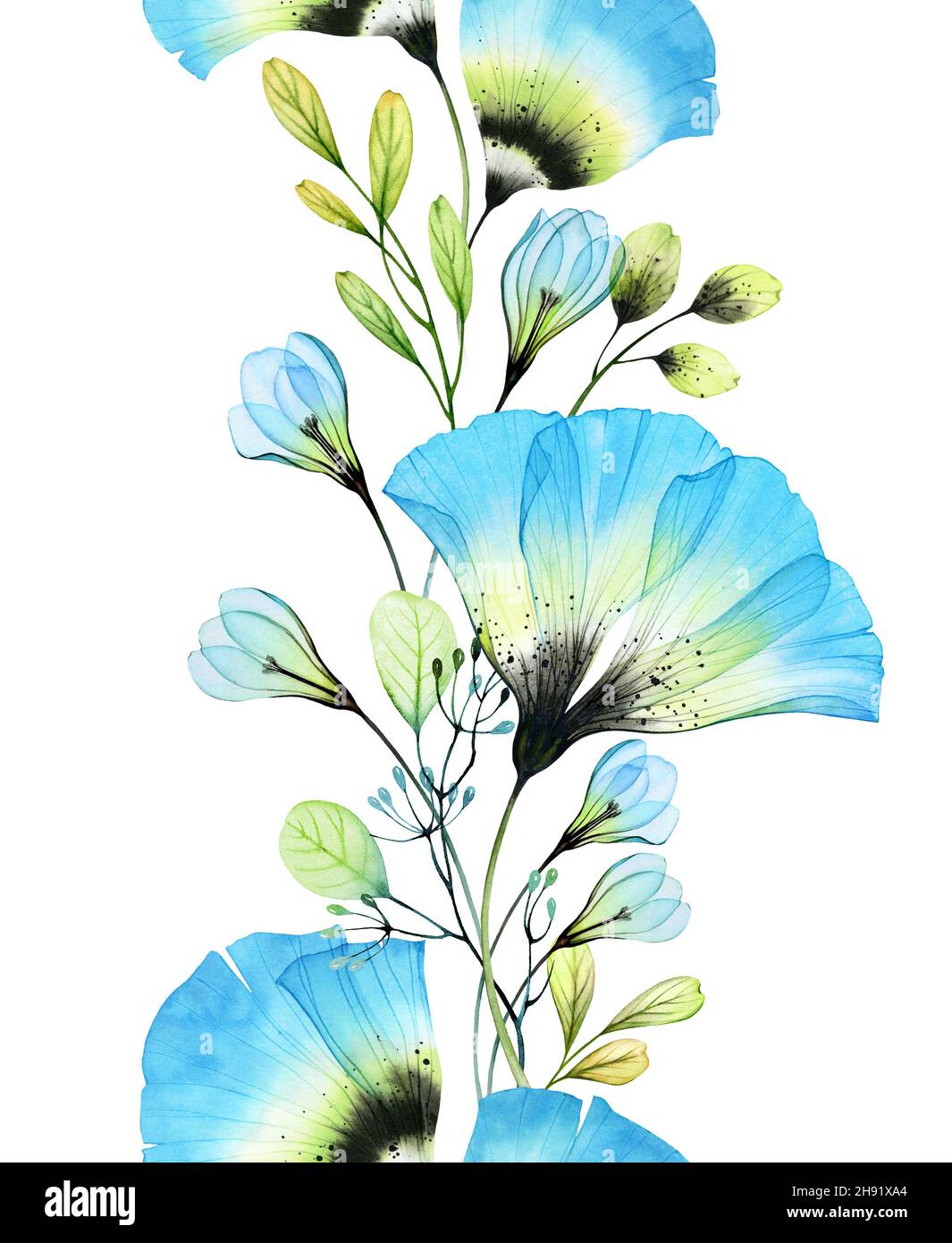 Seamless flower border hi-res stock photography and images - Alamy