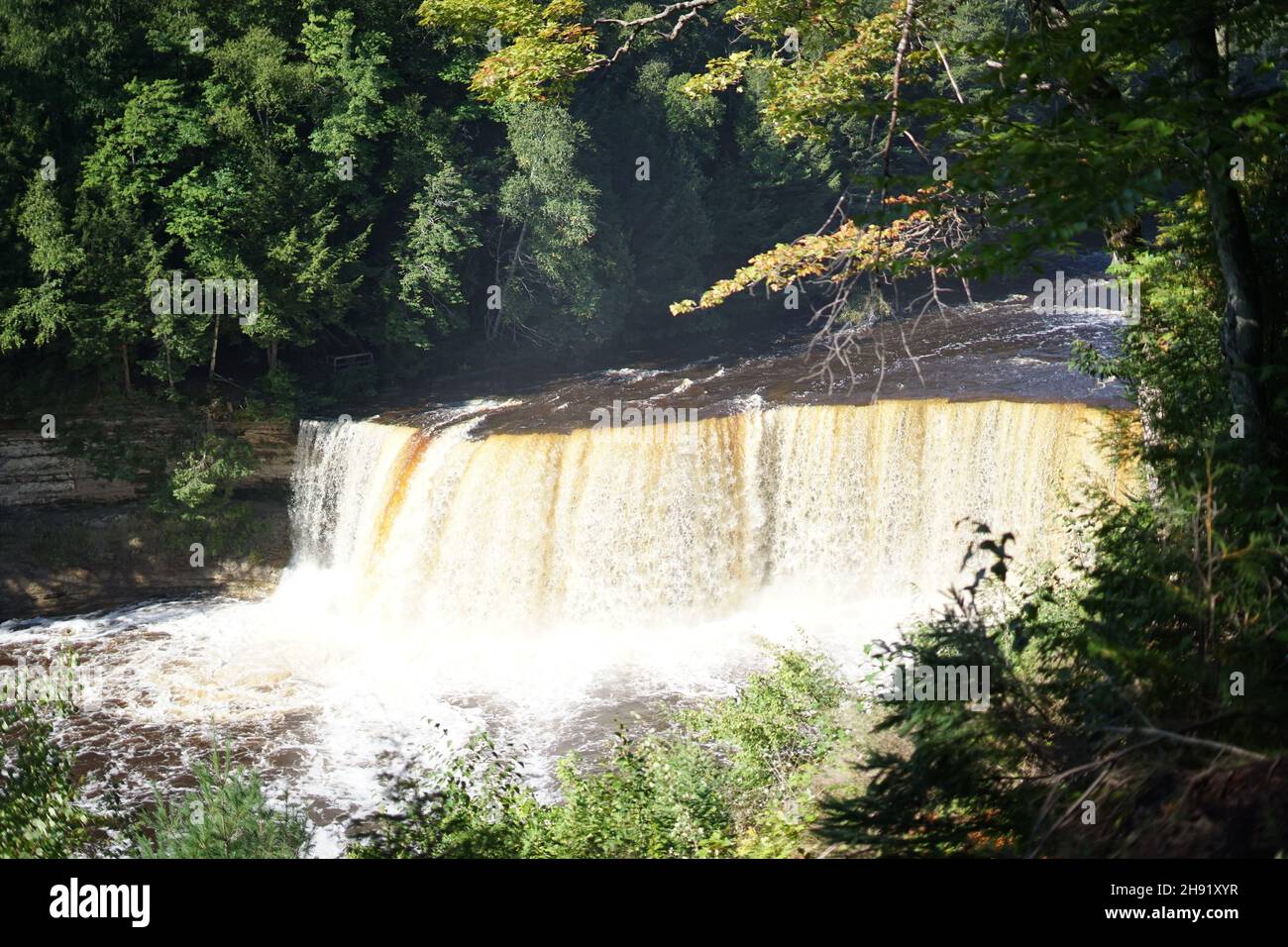 Tahquamenon Falls State Park in Timberlost, USA Stock Photo - Alamy