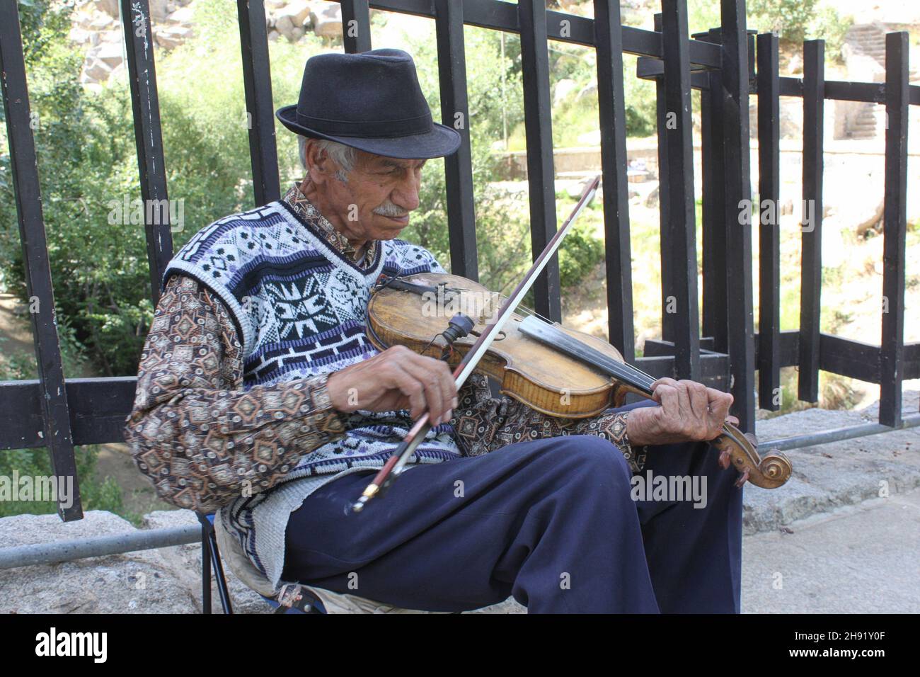 The old musician Stock Photo - Alamy