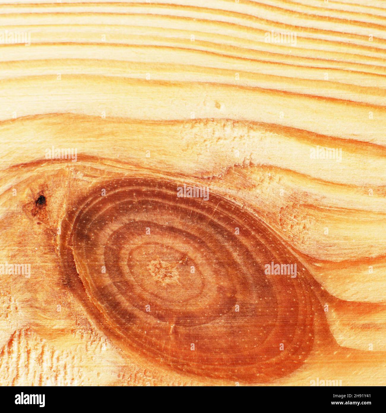 Knotty pine hi-res stock photography and images - Alamy