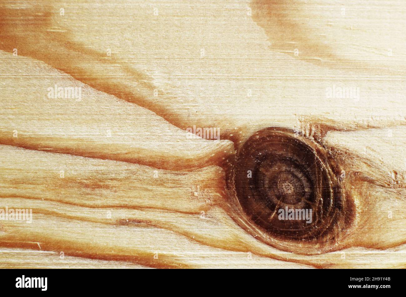 Knotty pine cut natural wood texture Stock Photo - Alamy