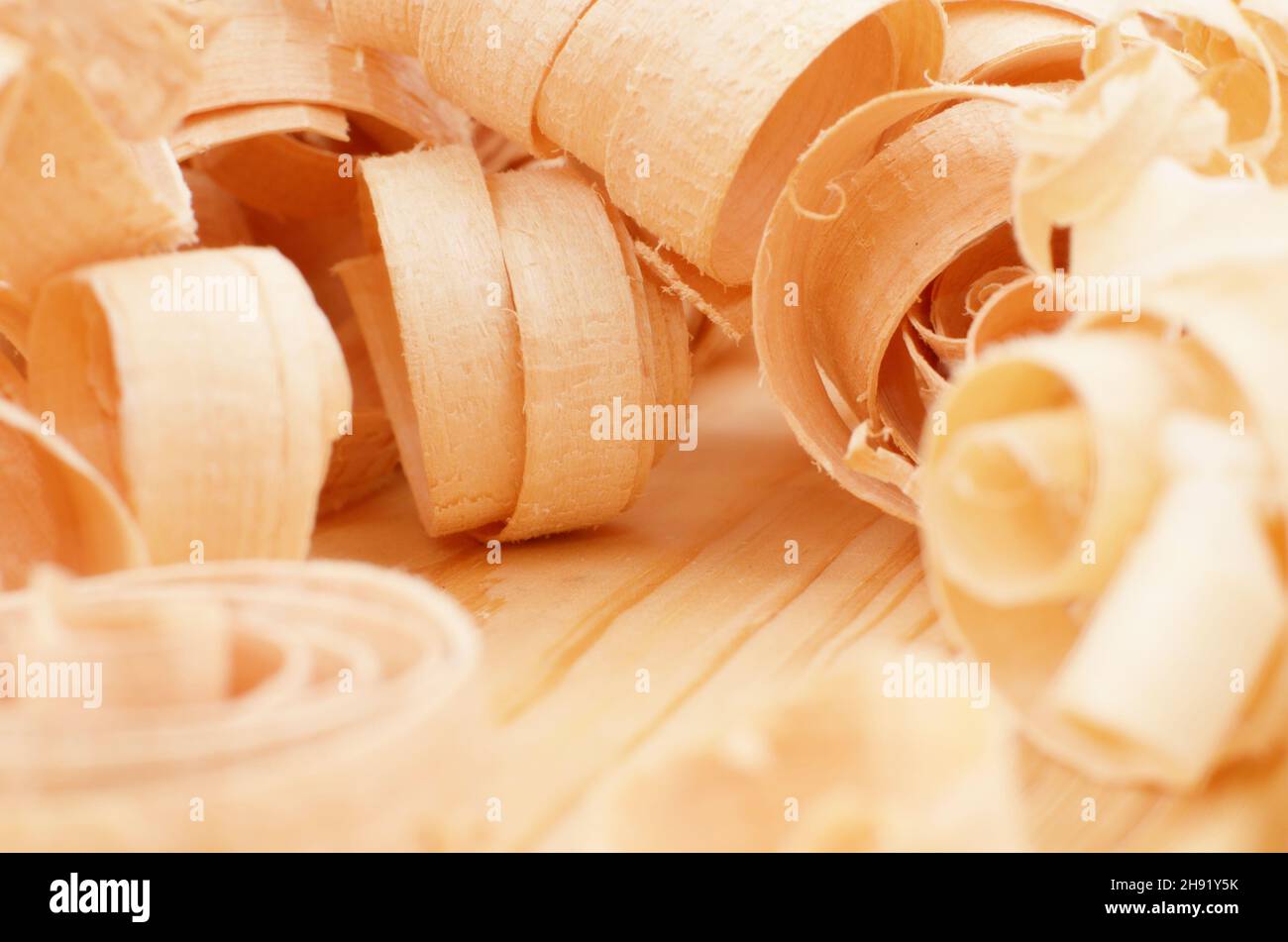 Fresh wood shaving on the natural pine plank Stock Photo - Alamy