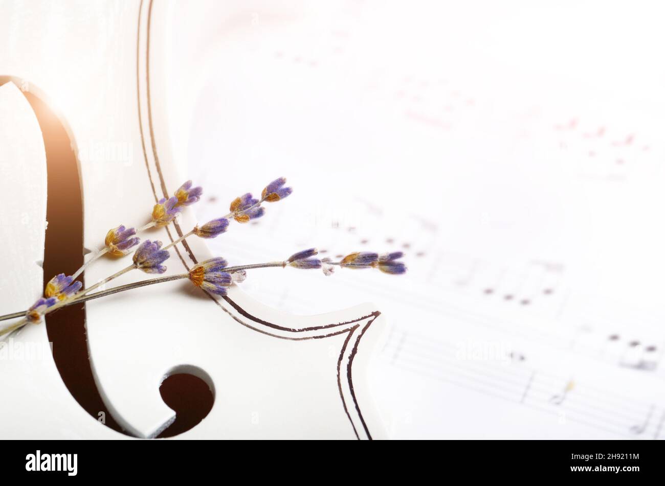 Fiddle shape hi-res stock photography and images - Alamy