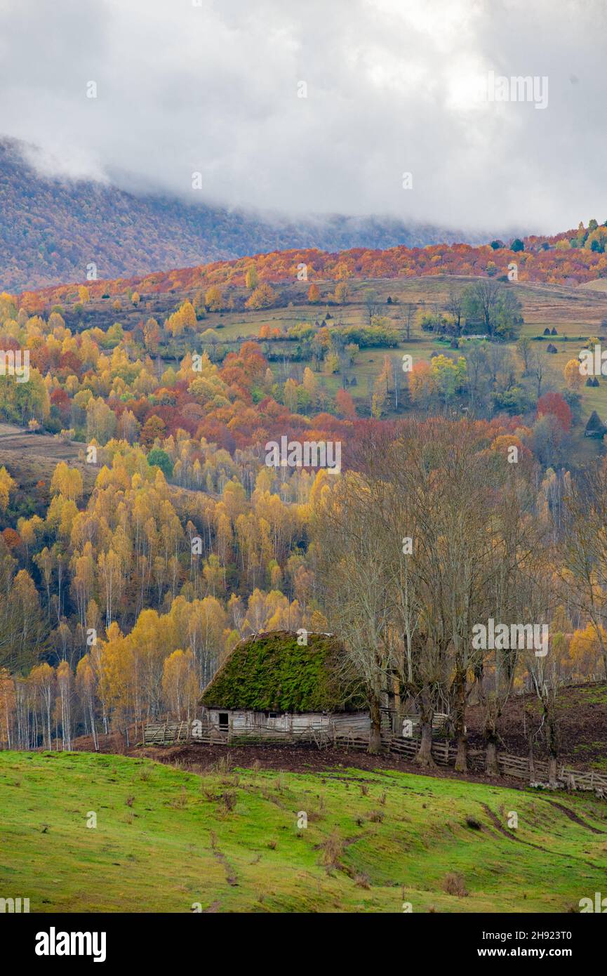 Beautiful colors of trees in the forested hills in autumn Stock Photo ...