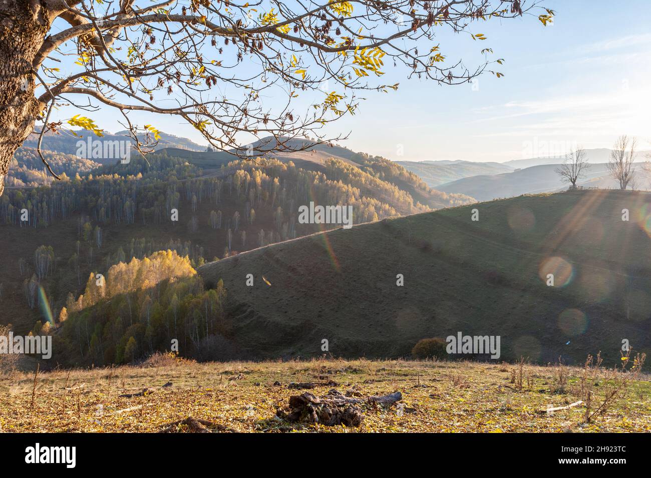 Beautiful colors of trees in the forested hills in autumn Stock Photo ...
