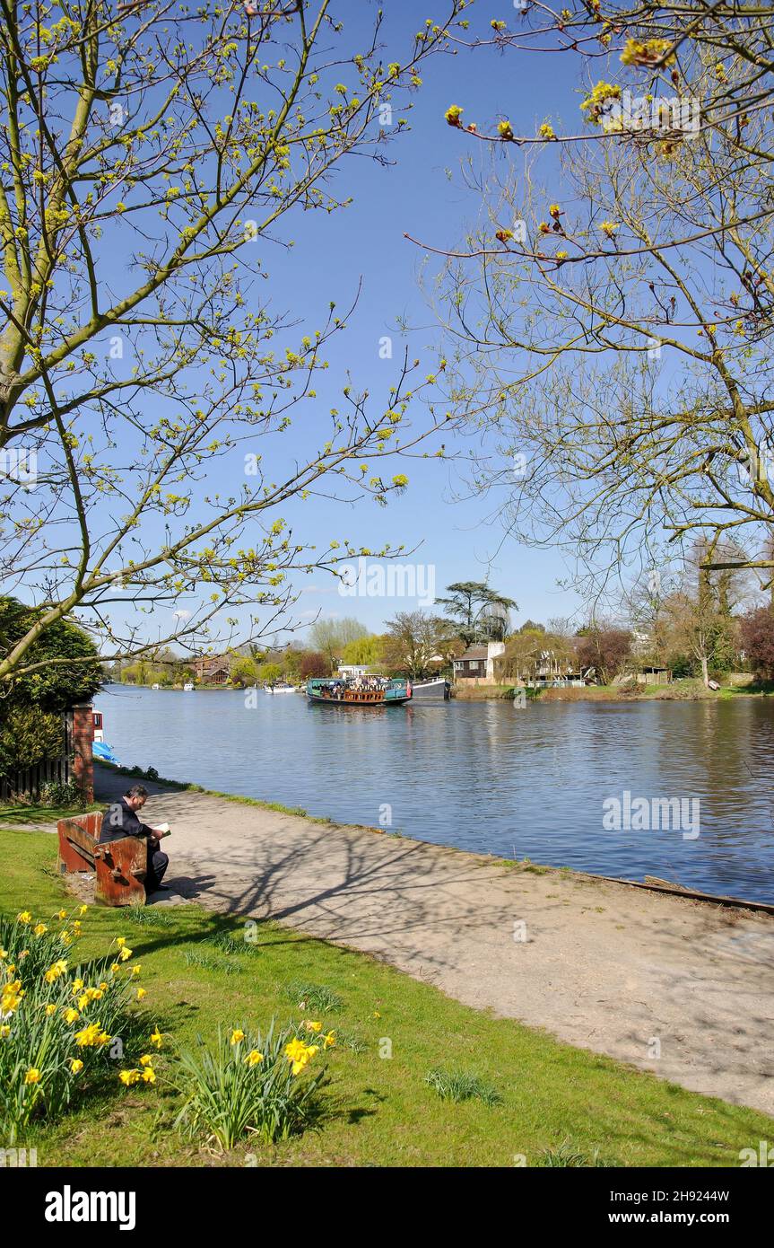 Riverside pathway, River Thames, Old Windsor, Berkshire, England ...