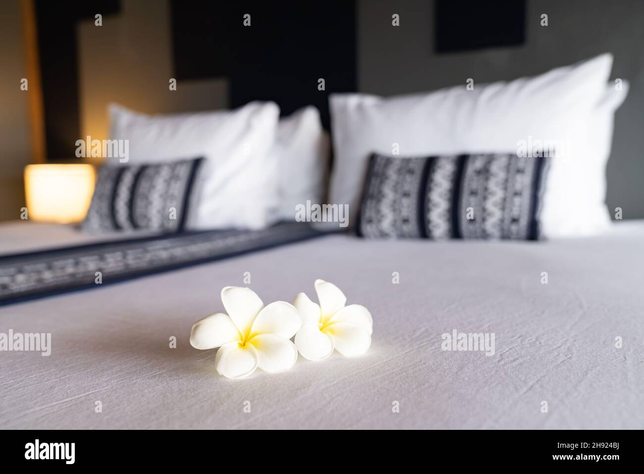 Lan thom flower hi-res stock photography and images - Alamy