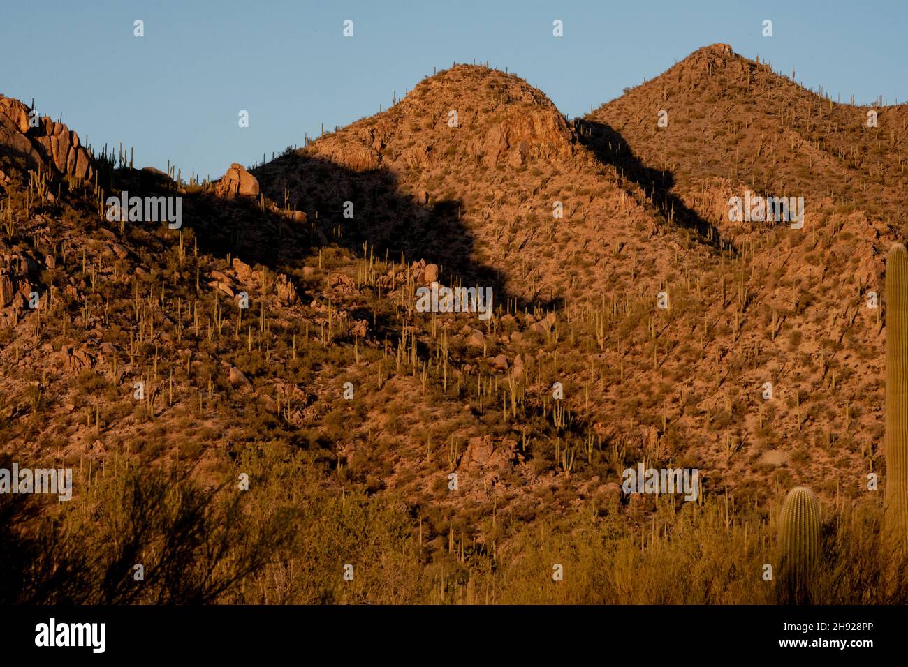 Tucson mountain district hi-res stock photography and images - Alamy