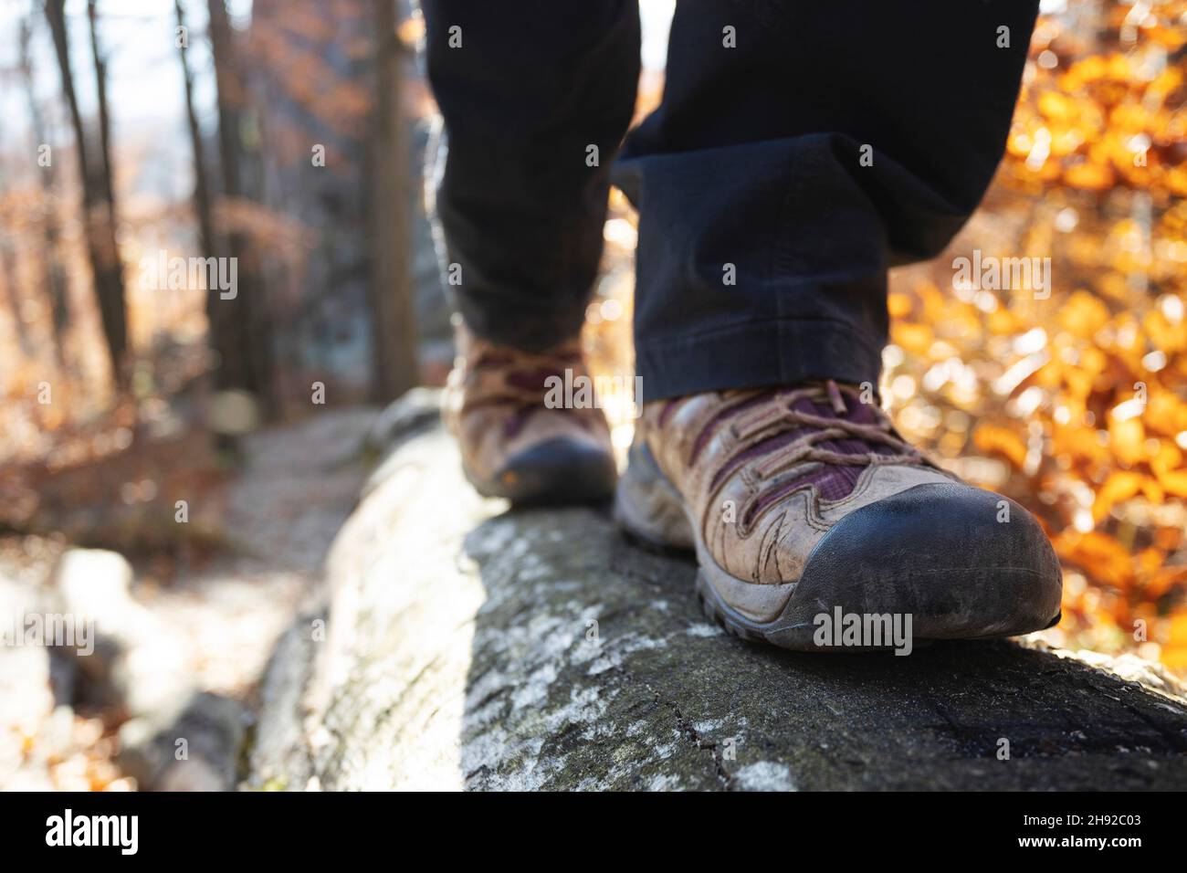 hiking boots close-up. girl tourist steps on a log Stock Photo - Alamy