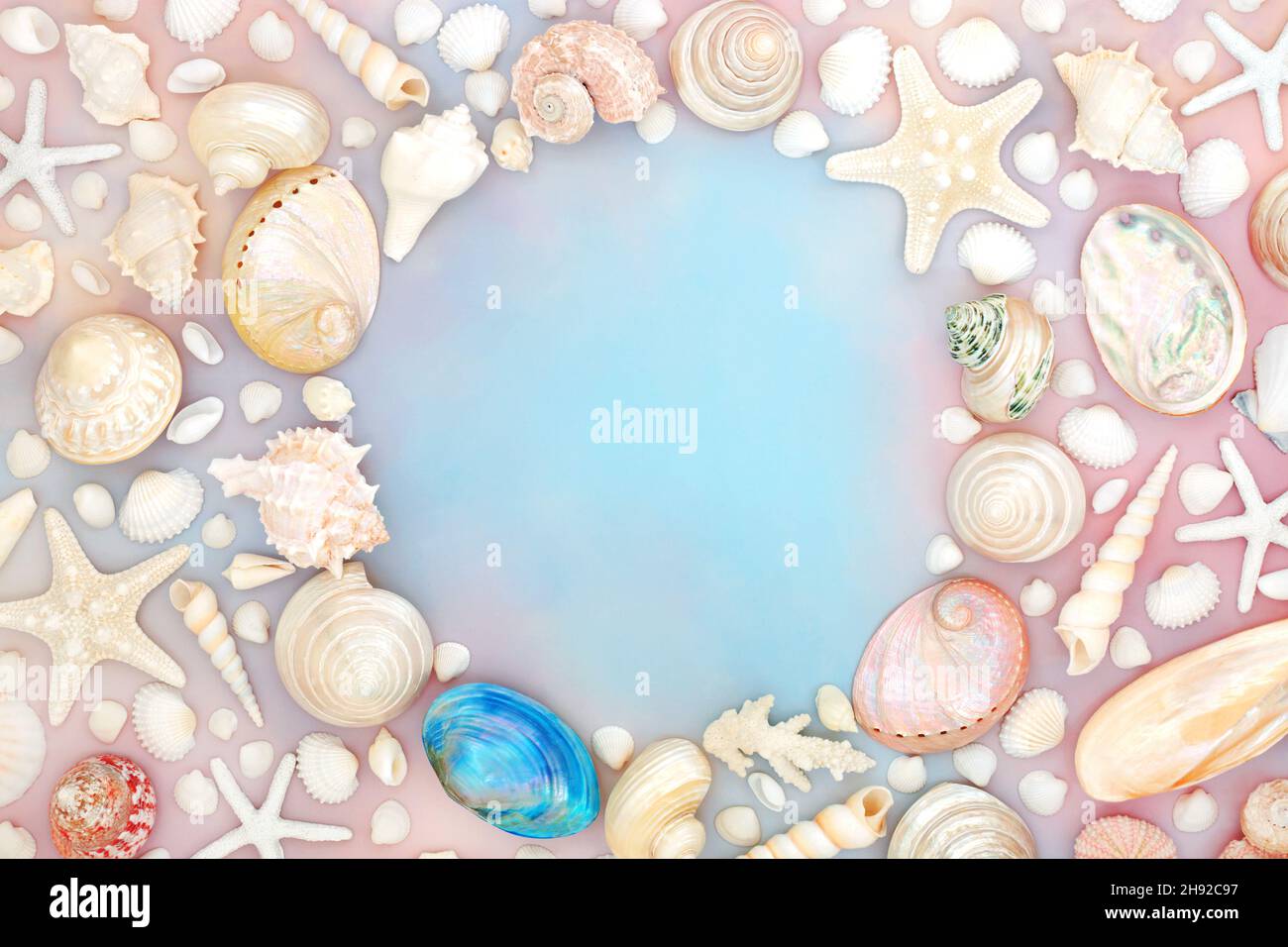 Seashell border with large collection of shells on rainbow coloured sky ...