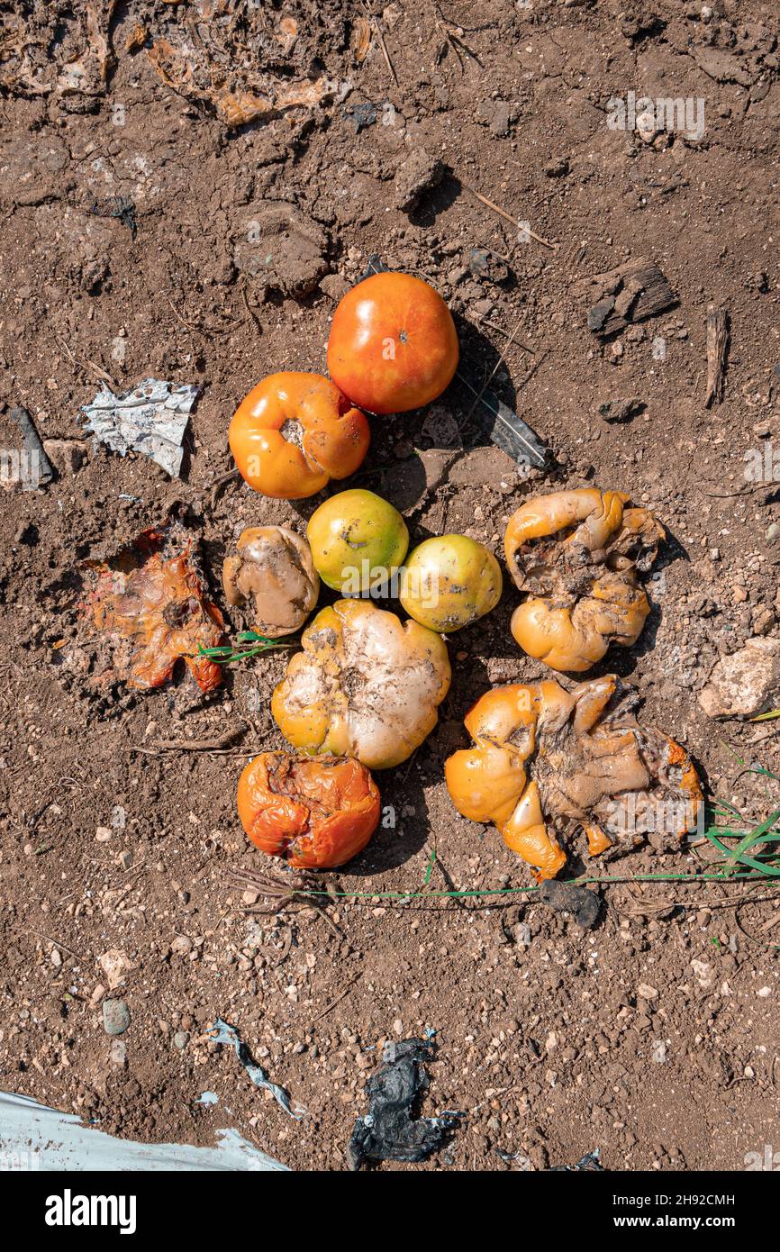 Guanica puerto rico hi-res stock photography and images - Alamy