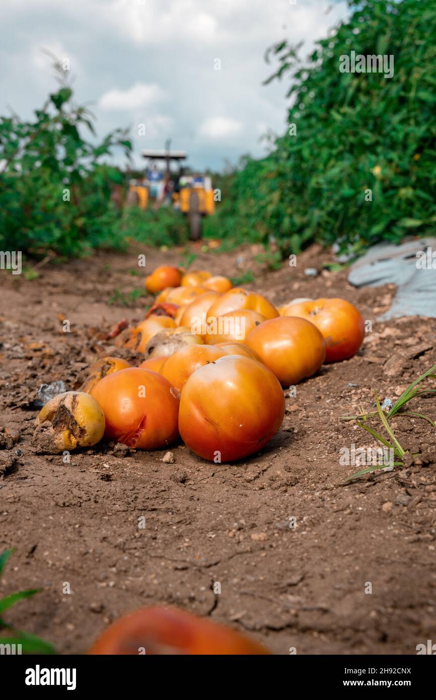 Guanica, puerto rico hi-res stock photography and images - Alamy