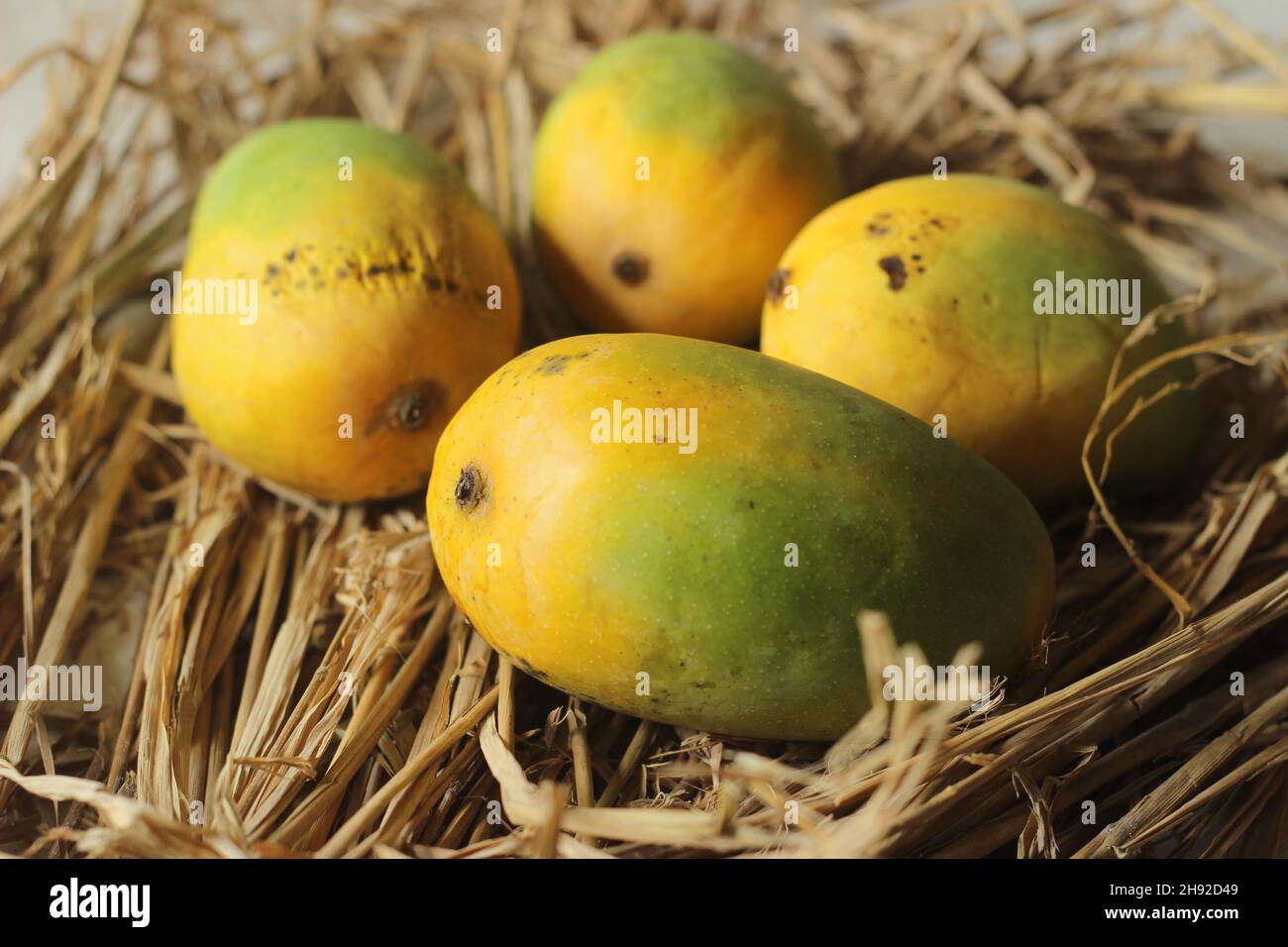Kesari mango hi-res stock photography and images - Alamy