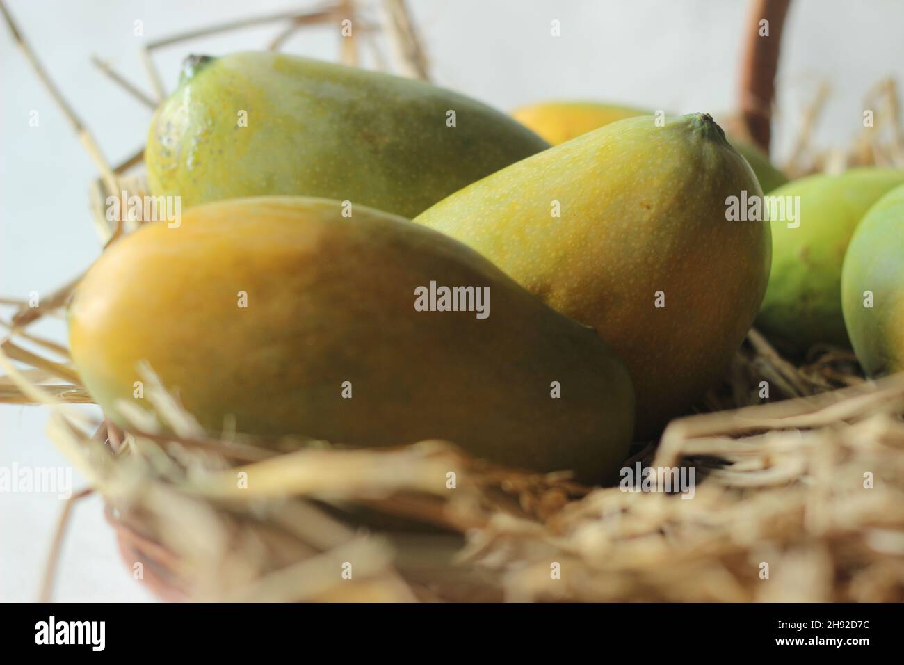 The Gir Kesar mango, also called Kesar, is a mango cultivar grown in ...