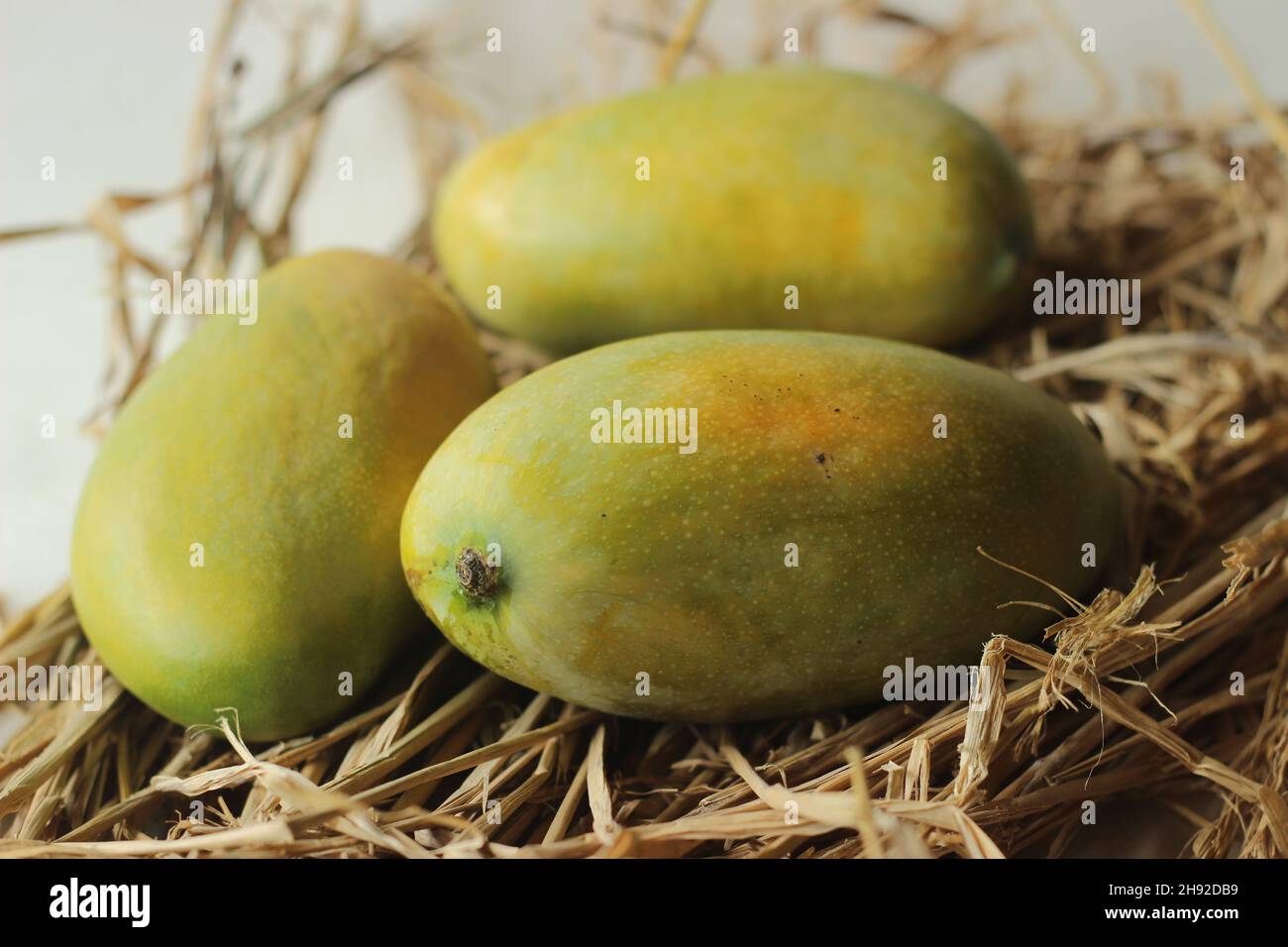 Kesar keri of gujarat hi-res stock photography and images - Alamy