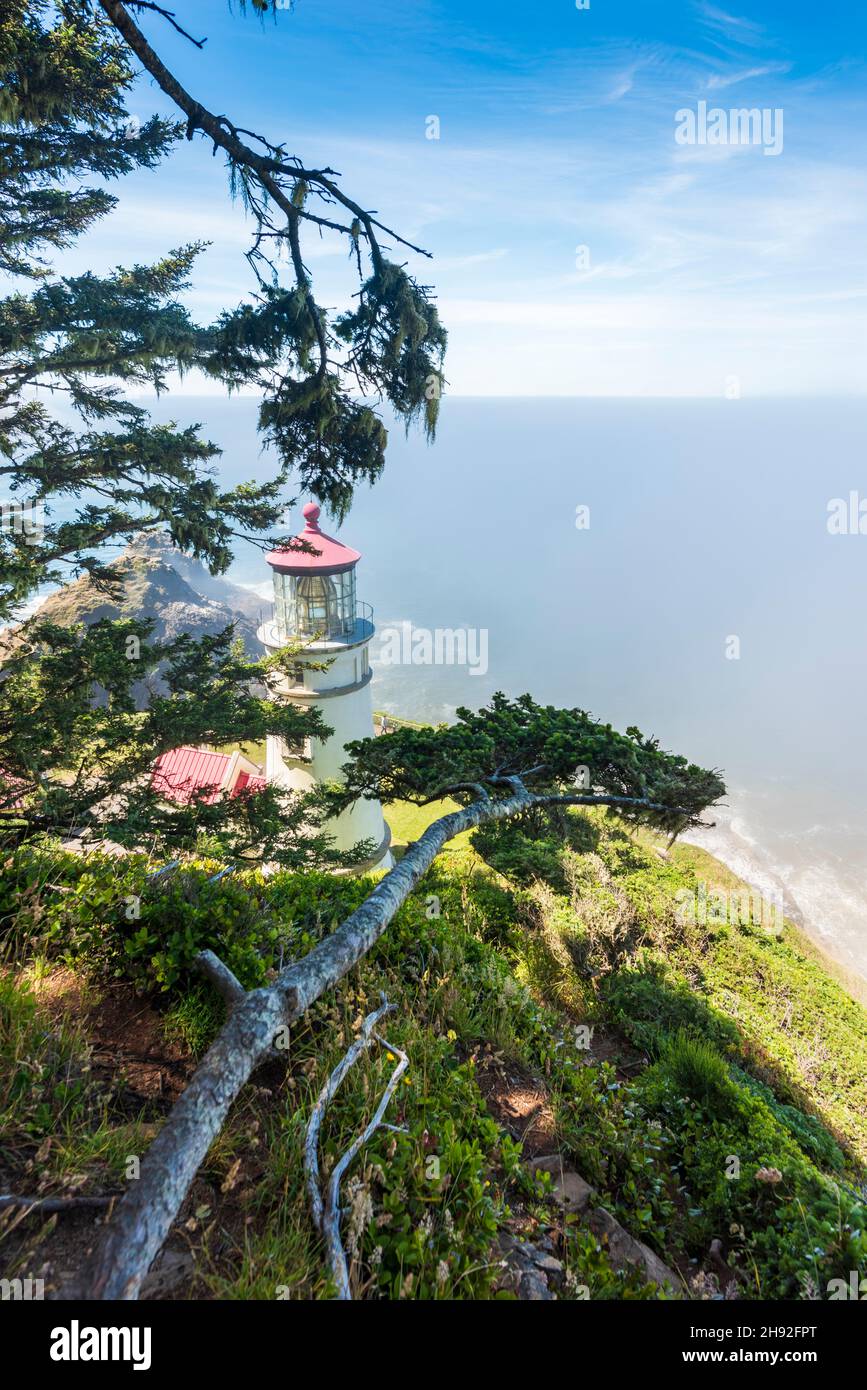 Heceta Head Lighthouse, Pacific Northwest, Oregon, USA Stock Photo - Alamy