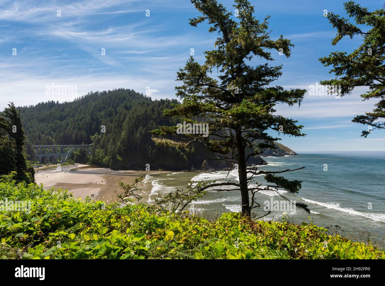 Cape Cove view from Heceta Head Lighthouse park, Pacific Northwest ...