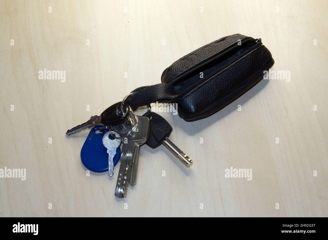 Key ring with various keys, access chip and key case Stock Photo - Alamy
