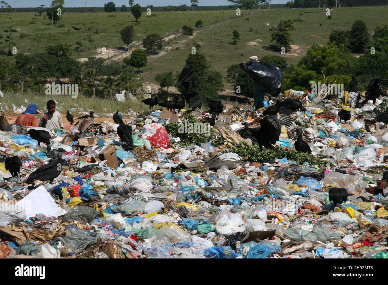 Food waste collectors hi-res stock photography and images - Alamy
