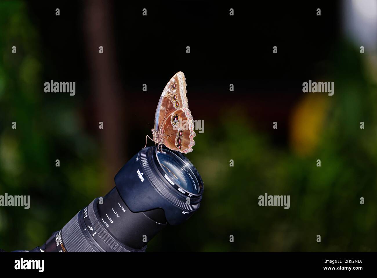 Nah ran hi-res stock photography and images - Alamy