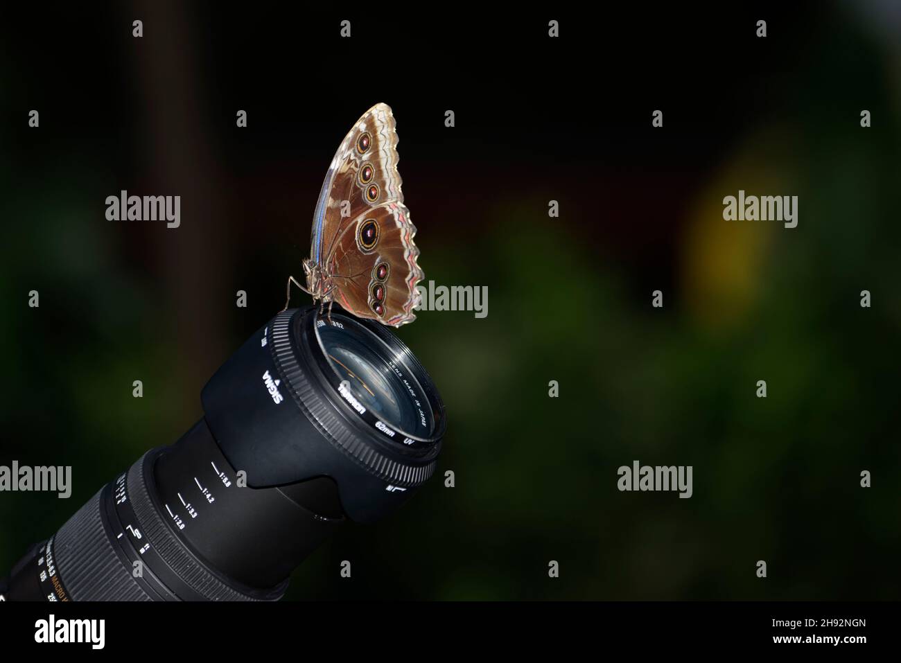 Nah ran hi-res stock photography and images - Alamy