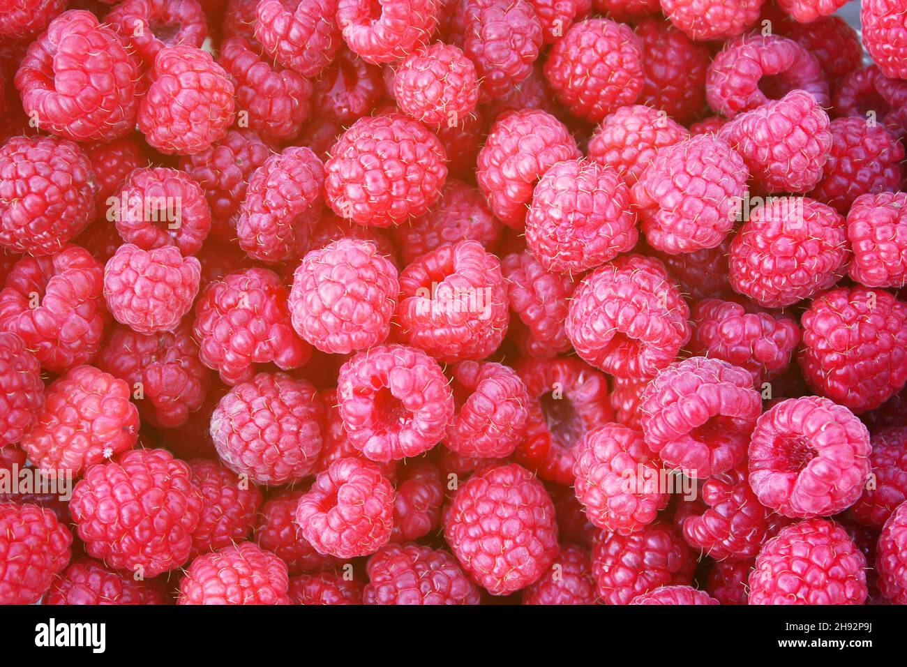 Ripe sweet tasty fresh raspberry close up Stock Photo - Alamy