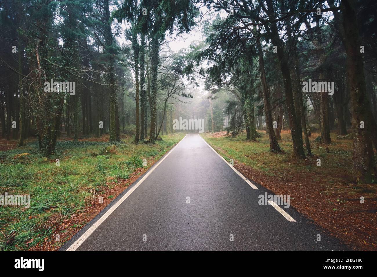 Mist covered road hi-res stock photography and images - Alamy