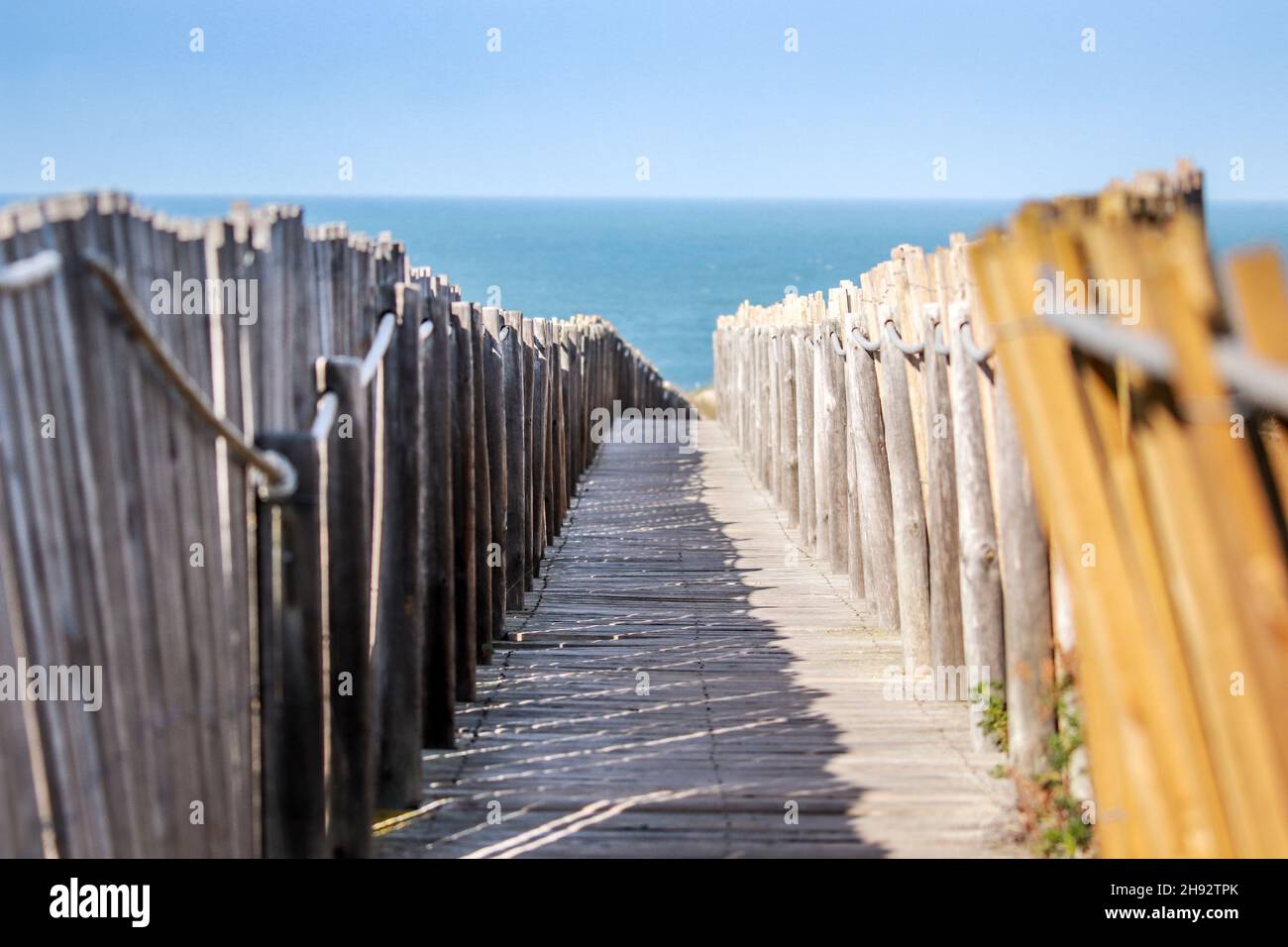 boardwalk through the sand dunes Stock Photo - Alamy