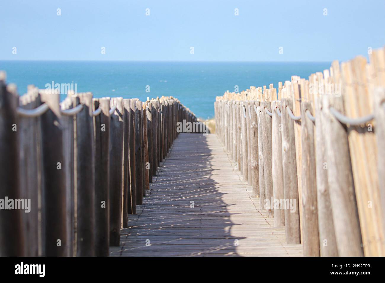 boardwalk through the sand dunes Stock Photo - Alamy