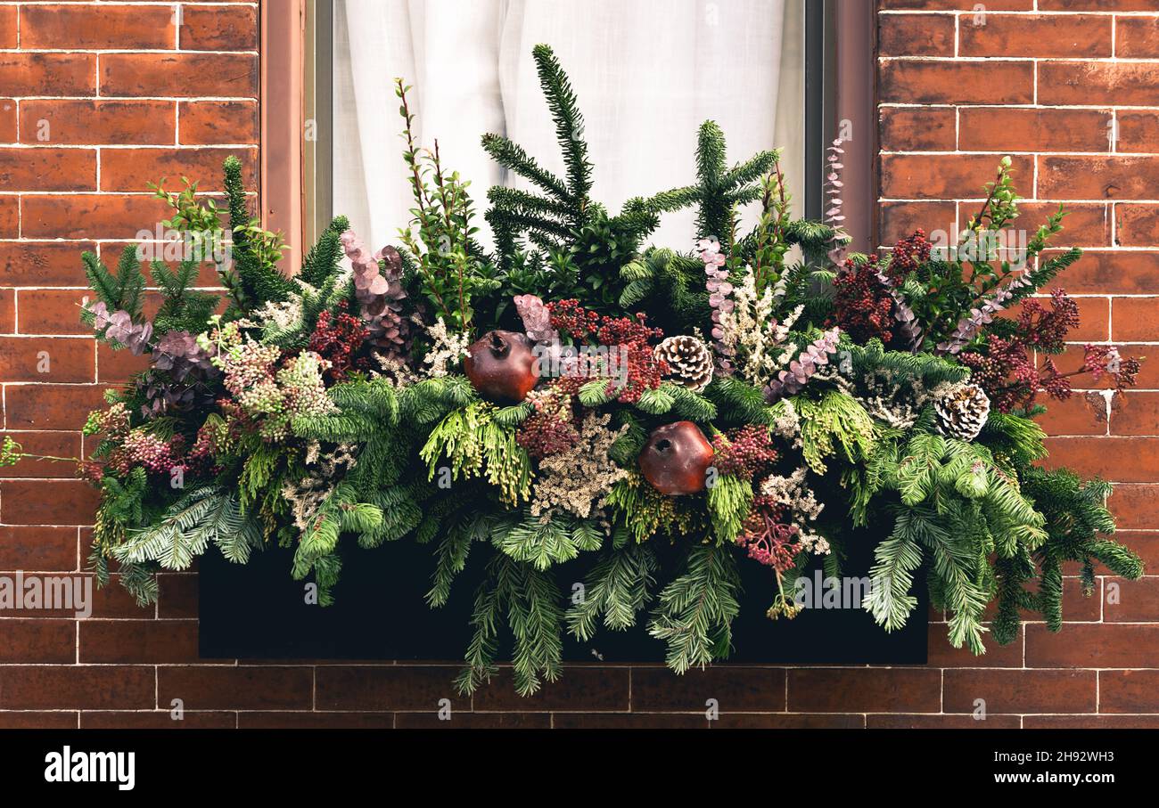 Wide window box arrangement filled with winter seasonal flowers and ...