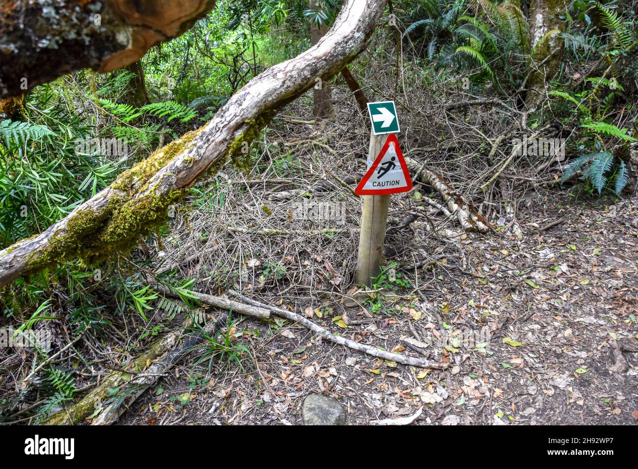 A sign warning hikers to be cautious in the forest on the popular ...