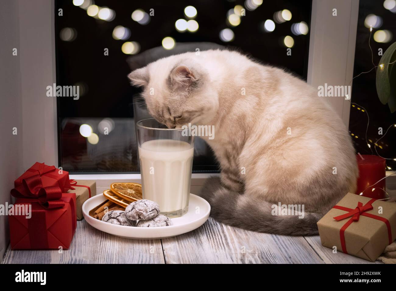 Scottish santa claus hi-res stock photography and images - Alamy