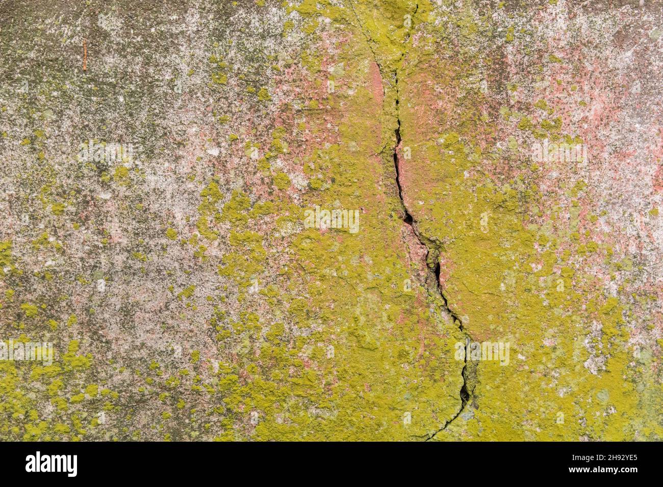 Crack on old, weathered, dirty, green with mold broken wall texture ...