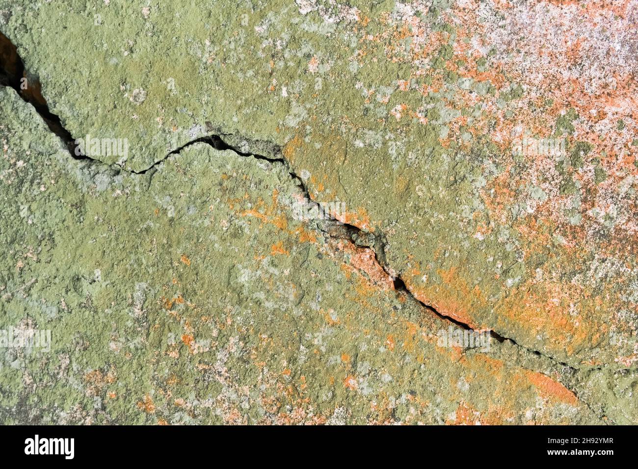 Crack on old, weathered, dirty, green with mold broken wall texture ...