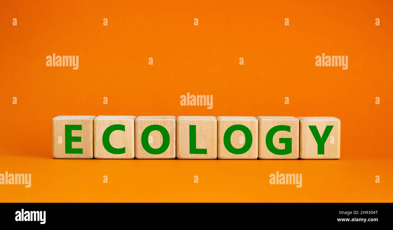 Ecology symbol. The concept word Ecology on wooden cubes. Beautiful ...