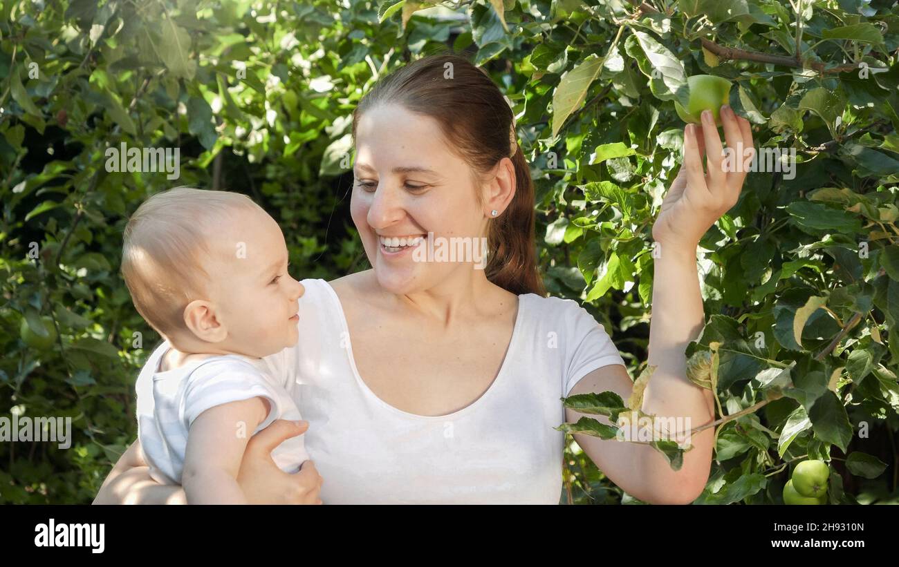 Portrait of beautiful mother showing growing apples in orchard to her little baby son Stock ...