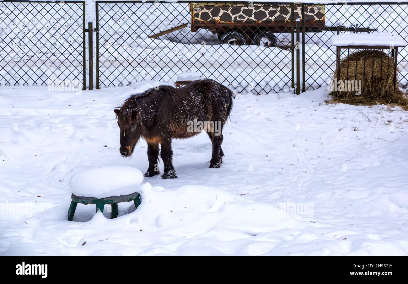 My little pony hi-res stock photography and images - Alamy