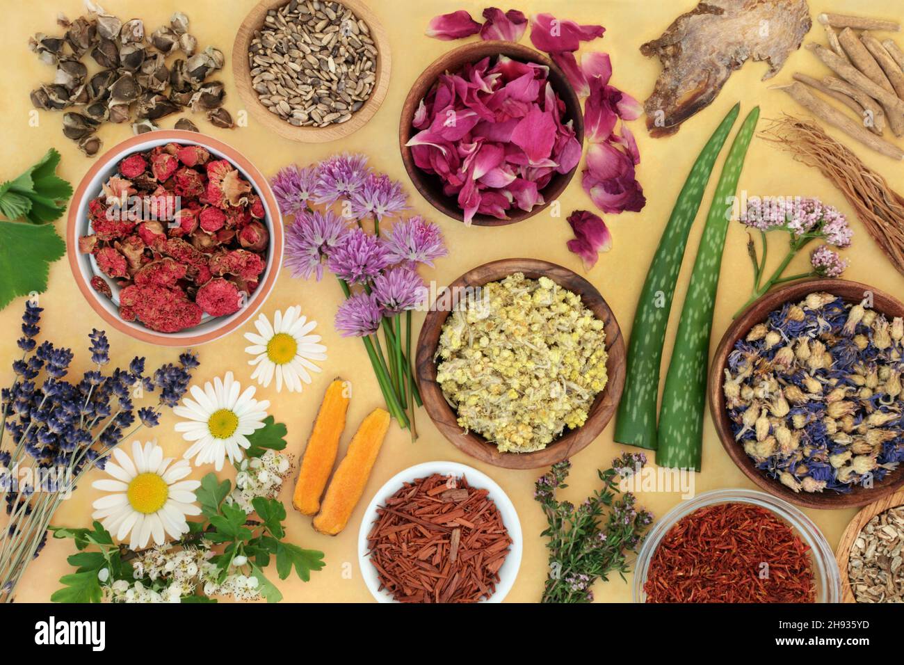 Healing herbs and flowers for natural herbal plant medicine in bowls ...