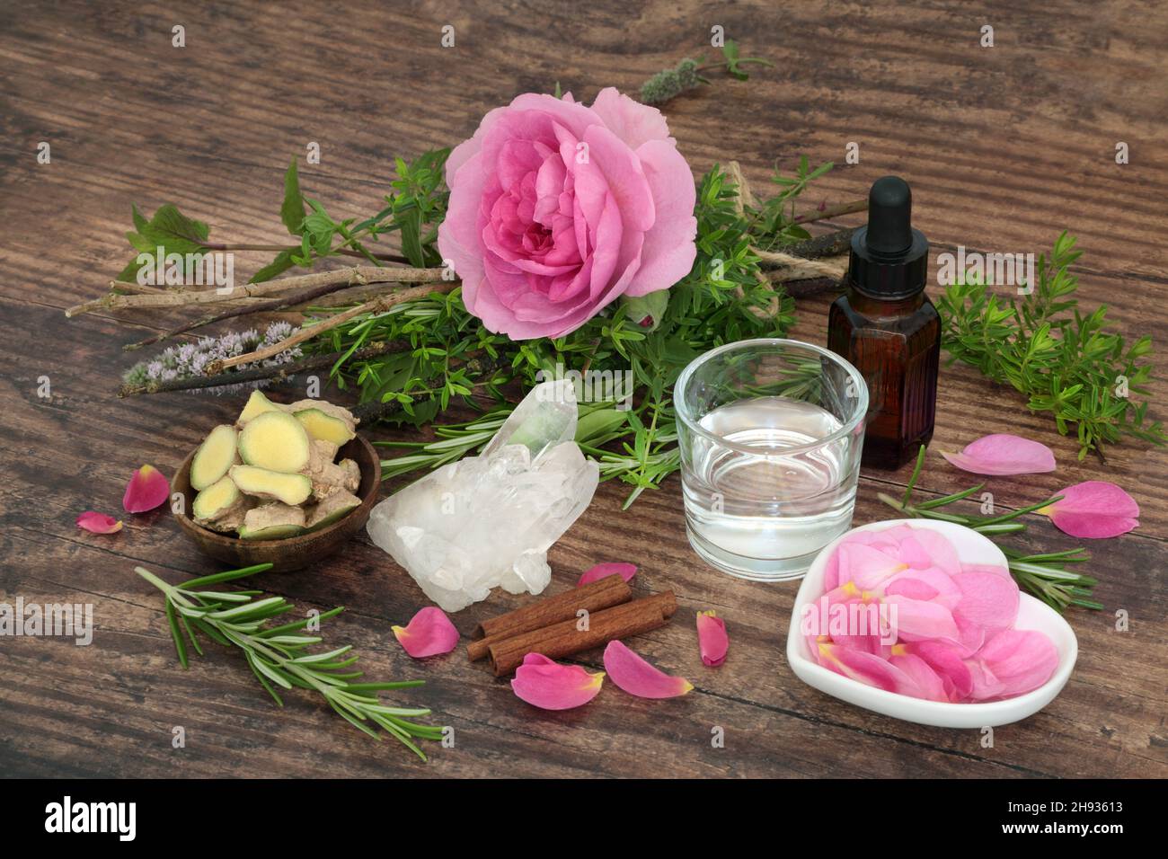 Romantic love potion herbs and rose flower tied in a witches bundle ...