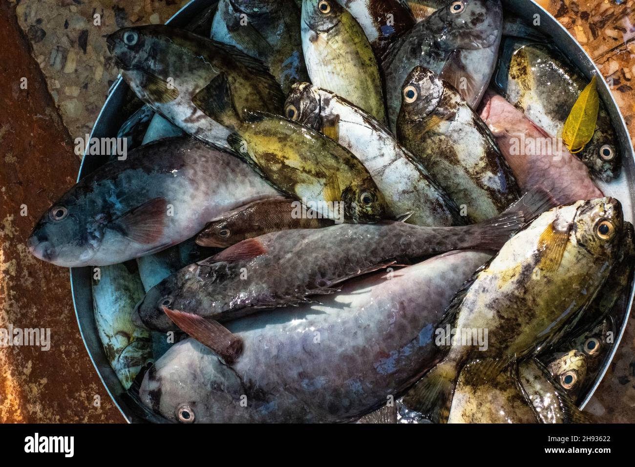 fresh caught fish in Greece Stock Photo - Alamy